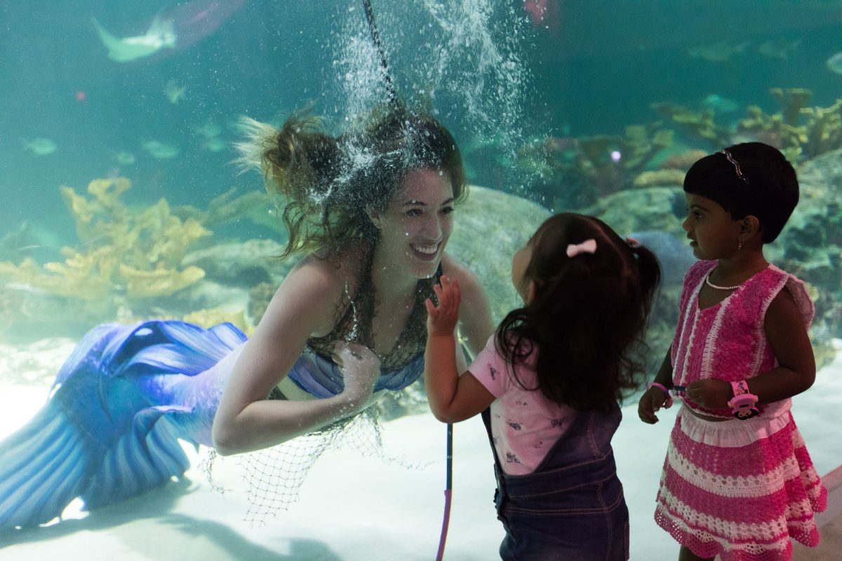 Mermaid Magic - Epic Kids