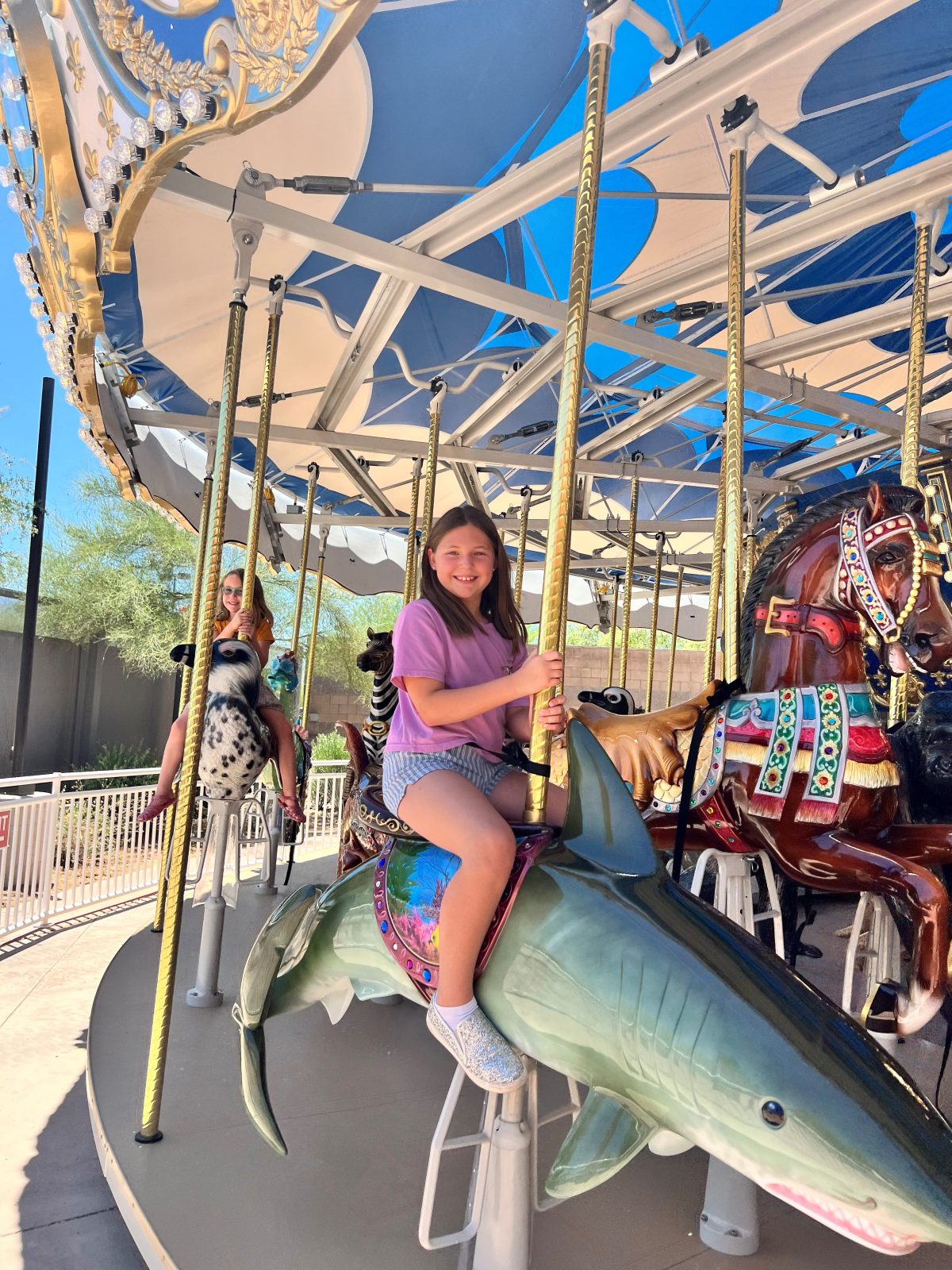Arizona Boardwalk Unveils Boardwalk Carousel - Epic Kids